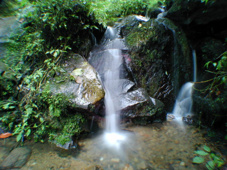 Parque Natural Chicaque - YourColombia